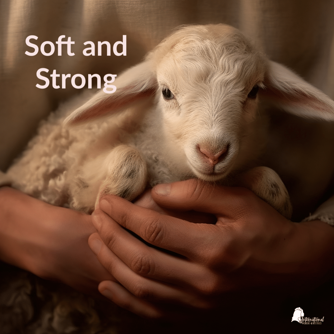 Soft and Strong - International Womens Ministries